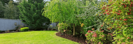 Niagara ON Landscaping | Quick Weekend DIY Projects