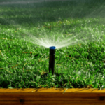 Technology in Landscaping | Tech's Impact on Landscaping